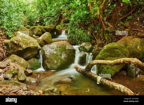 Lulumahu Falls In The Honolulu Watershed Forest Reserve Hawaiian