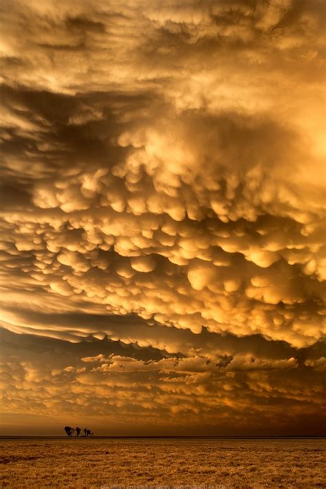 Подборка интересных и забавных картинок 120 фото