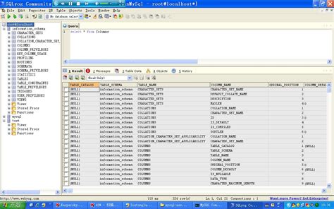 mysql gui 软件sqlyog sqlyog mysql gui csdn博客