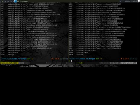 lsp not working in cargo check r · issue 14315 · rust lang rust