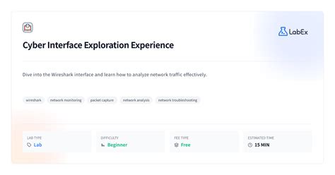 Cyber Interface Exploration Experience Labex
