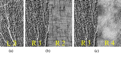 Figure 1 From Novelty Detection In Images By Sparse Representations