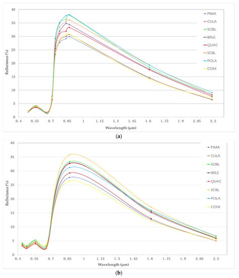 The Mean Spectral Characteristic Of Tree Species In Sentinel 2a A And Download Scientific