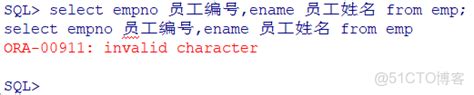 成功解决 Plsql Developer 报错 Ora 00911 Invalid Character51cto博客plsql Ora