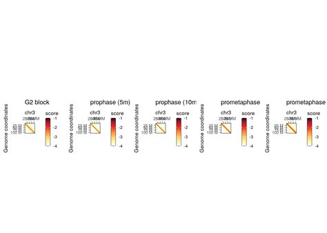 Orchestrating Hi C Analysis With Bioconductor Workflow 2 Chromosome Compartment Cohesion Upon