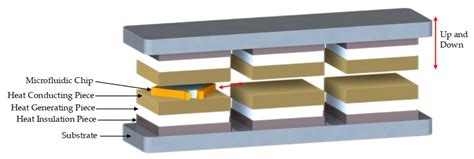 Nucleic Acid Amplification Test