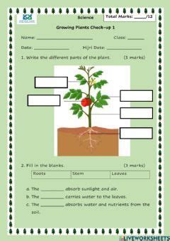 Parts Of The Plant Online Activity For Grade 5 Plant Science Fun