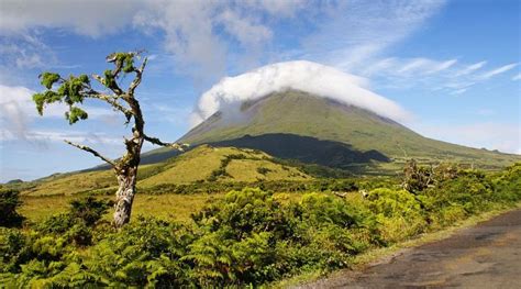 Azory Průvodce do kapsy