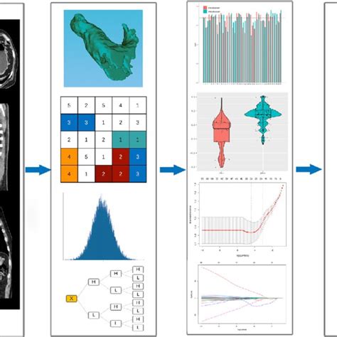 flowchart of radiomics analysis tumors were segmented manually on