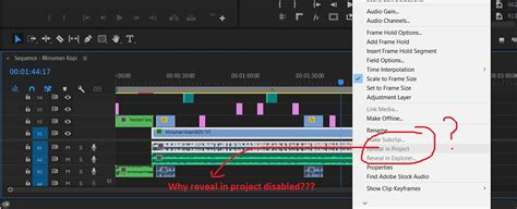 Why Reveal In Project Menu Disabled Adobe Community 12748562