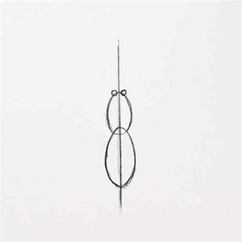 How To Draw A Spider With Amazing Details