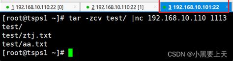linux命令 4 之nc nc命令 csdn博客
