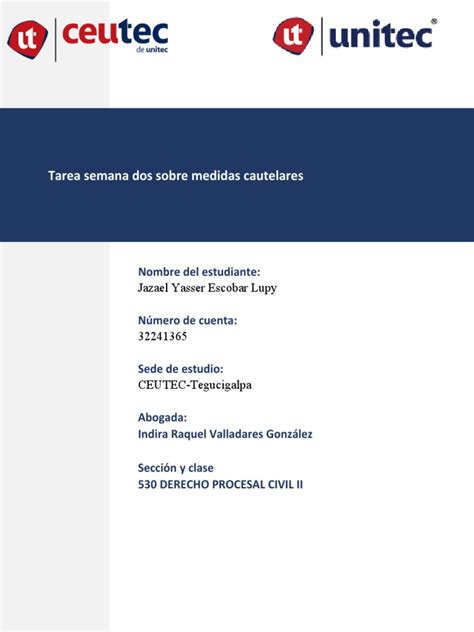 Medidas Cautelares Pdf