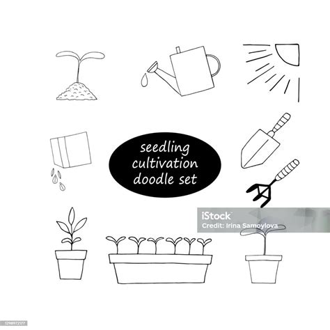 새싹 급수 캔 가방에서 파종 씨앗 삽 레이크 태양 벡터 세트 아이콘 스티커 스케치 핸드 그린 낙서 스타일 흑백 미니멀리즘 봄
