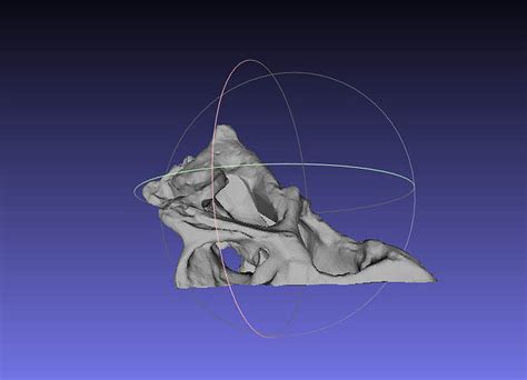 Psittacosaurus Skull Left Half Free 3d Model 3d Printable Cgtrader