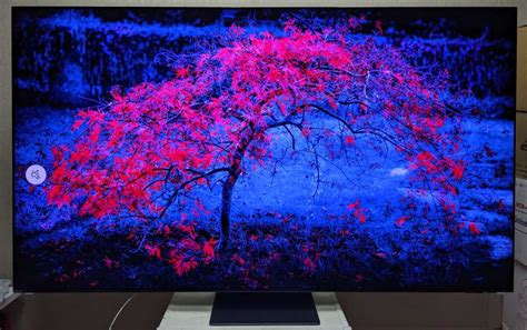 Samsung S95c Oled Tv Review Rich Color Bright Highlights Pure Blacks
