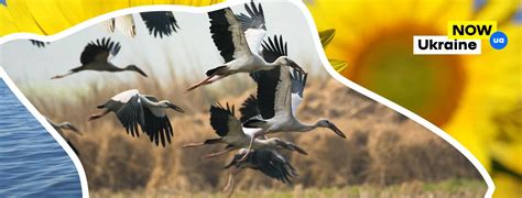 Гром Громадська екологічна рада при Дніпропетровській ОДА