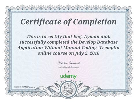 develop database application without manual coding tremplin ppt