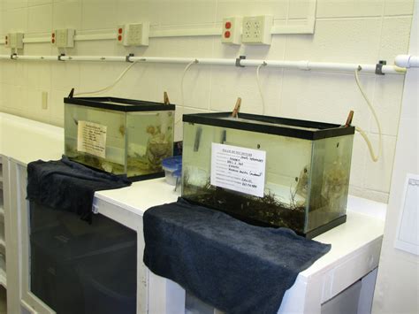 April 2009 Grice Marine Laboratory