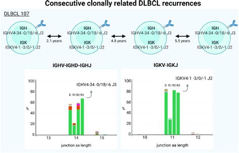 Next Generation Sequencing Ngs Based Clonality Assessment Of Multiple