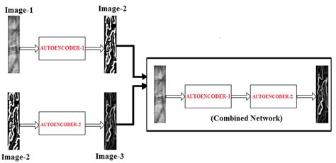 Combined Autoencoder Architecture Download Scientific Diagram