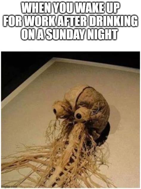 Drinking Work Memes Funny Work Drinking Games Hilarious Corporate