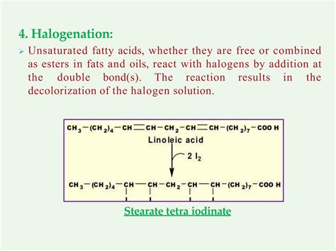 Lipids Propertiesclassificationfunction Pptx