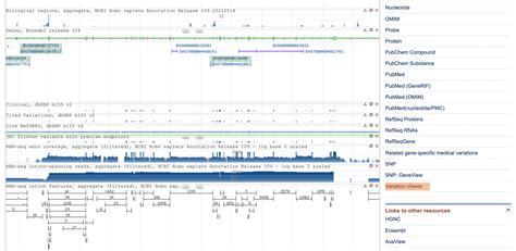 Bioinformatics The Perfect Marriage Of Computer Science And Medicine