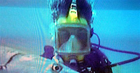 치타보다 빠른 물고기 놀라운 물속 세상