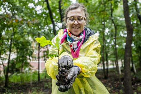 Tackling Climate Change 100 Trees At A Time Through Afforestation