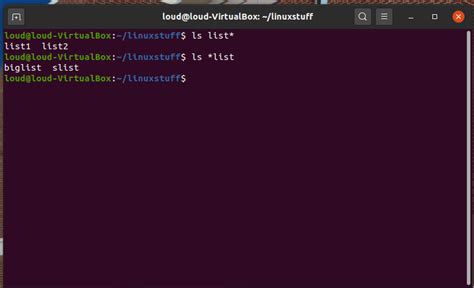 Linux Terminal Using The Wildcard
