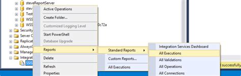 how a non admin users of ssis 2012 2014 can view ssis execution reports