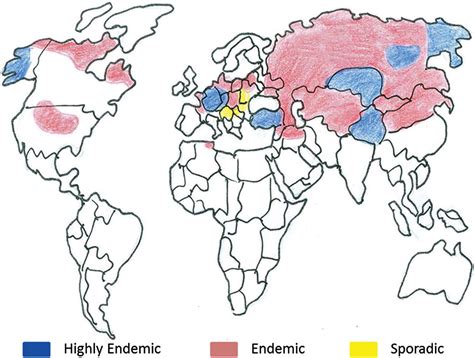 Alveolar Echinococcosis Spectrum Of Findings At Cross Sectional