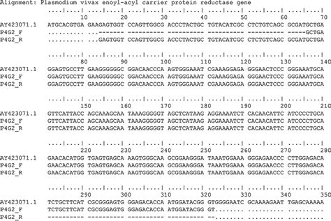 Dna Sequence Alignment Of The P Vivax Sample Isolated From An Infected Download Scientific