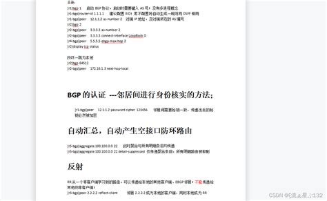 bgp总结 csdn博客
