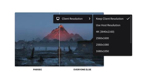 Parsec Secure Real Time Remote Desktop Software Unity