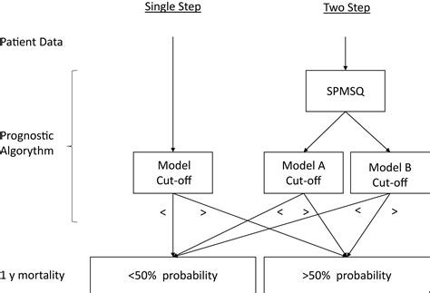 A Simplified Multidimensional Scale Approach Is Effective In Predicting