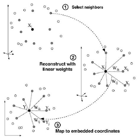 Steps Of The Lle Algorithm [25] Download Scientific Diagram