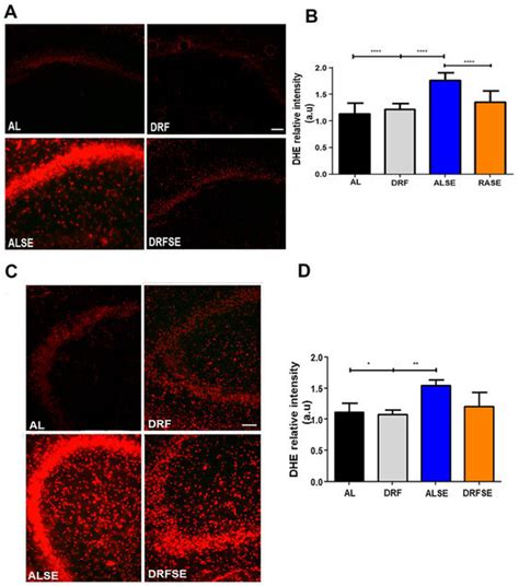 Brain Sciences Special Issue Recent Advances In Pathophysiology And