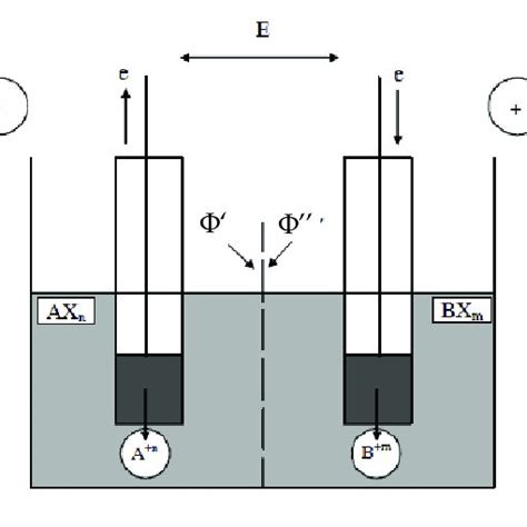 Scheme Of A Concentration Cell Without Transference Download