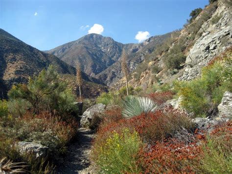 What Is San Gabriel Valley Known For