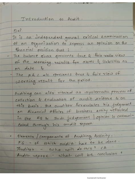auditing written notes dhruvi d057 pdf