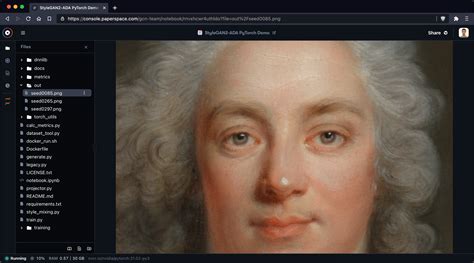 How To Run Stylegan2 Ada Pytorch Paperspace Blog