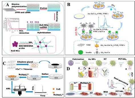 A Schematic Diagram Of The Hiv Gene Biosensor Using Eus Nanocrystals