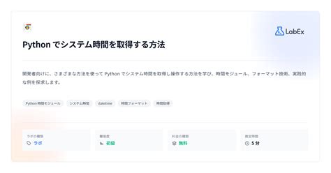 Python でシステム時間を取得する方法 Labex