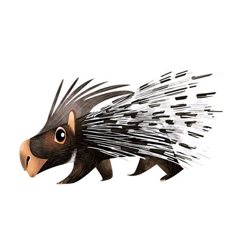 All About Indian Crested Porcupine
