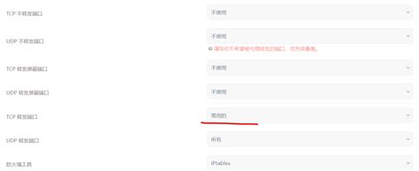 Bug N1 Docker 容器中运行 Openwrt Passwall Udp 转发失效 · Issue 2238