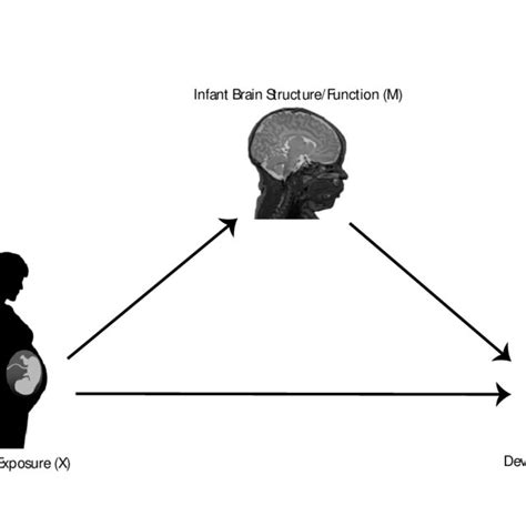 Statistical Mediation A Mediation Model Seeks To Identify A Mediator