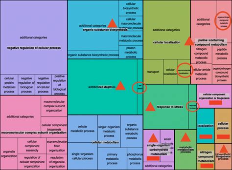 Example Of A Tree Map Visualisation Plot The Circles Indicate