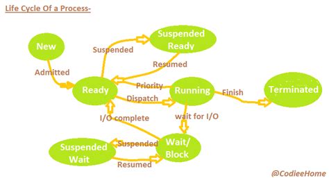 Process Life Cycle Diagram In Os Process Unix Transitions St